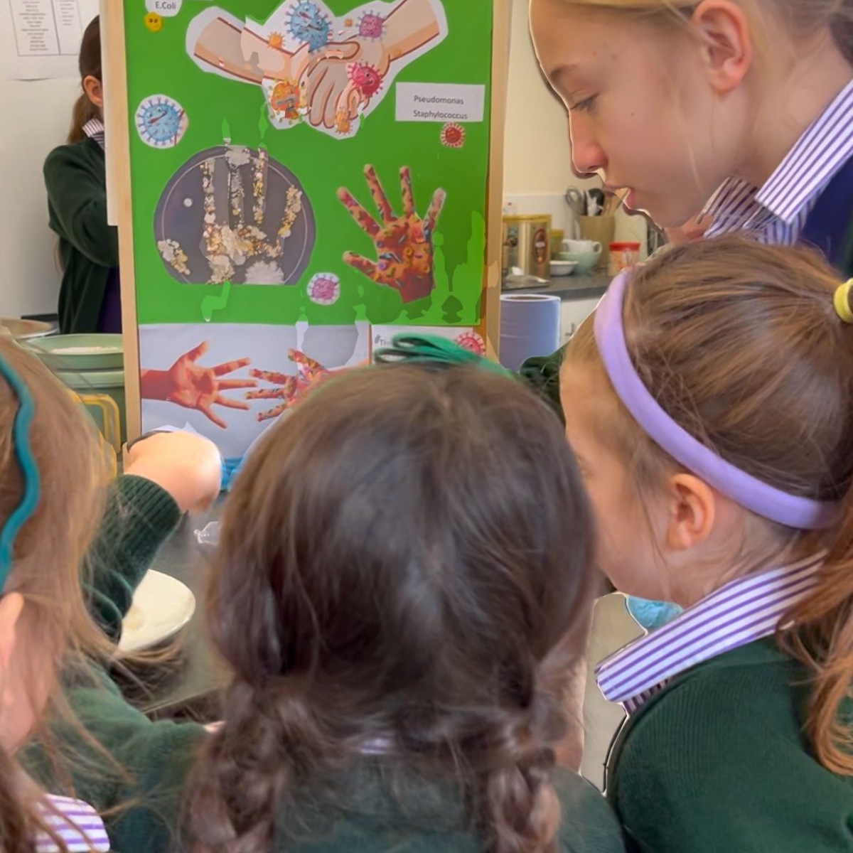 Springmead Preparatory School - Science Fair